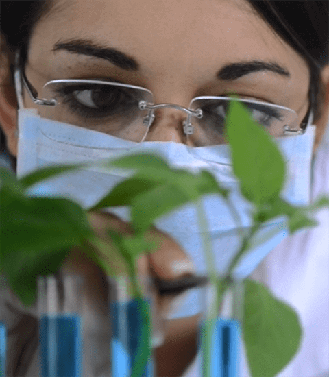 TerraMax | Crop Inoculants | Maximizing Earth's Potential
