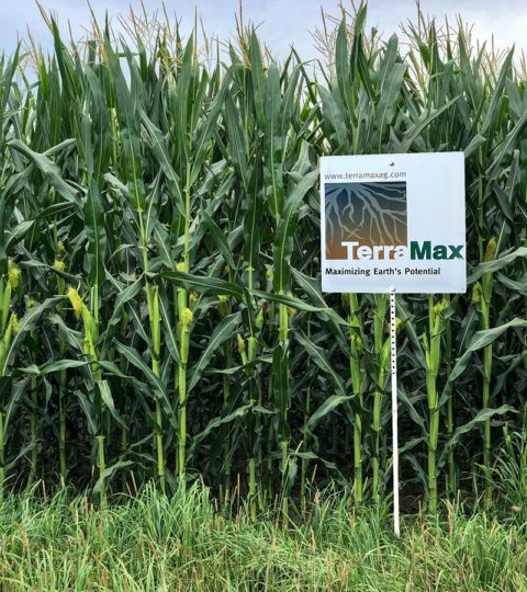 Why TerraMax | Maximizing Earth's Potential