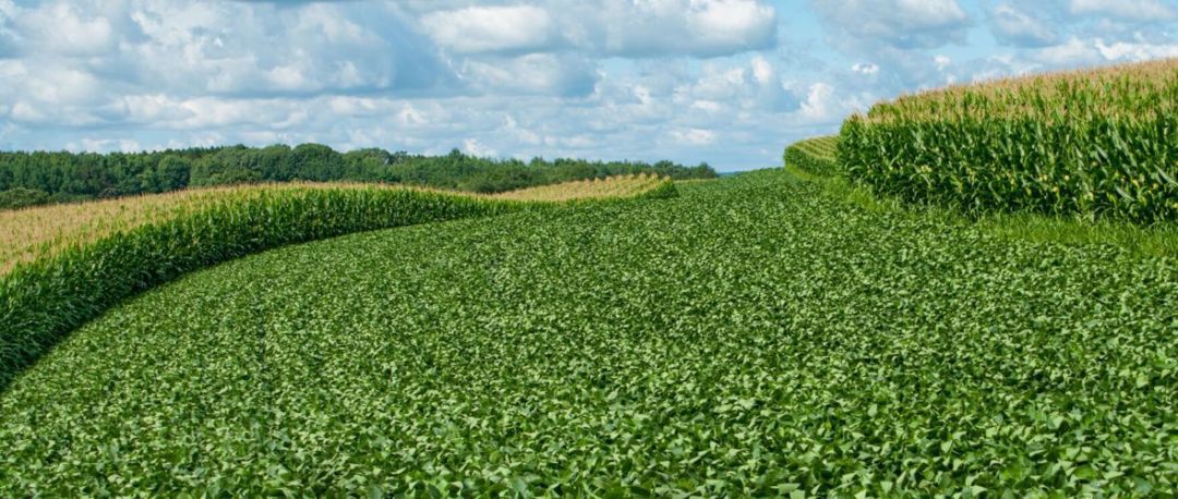 Tried and true: TerraMax boasts four Beck’s Practical Farm Research ...